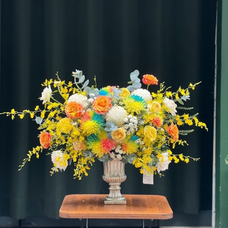 Chậu Hoa Lan Hồ Điệp Hồng 10 Cây Mix Sen Đá – Hoa Sinh Nhật Đẹp Ý Nghĩa ...